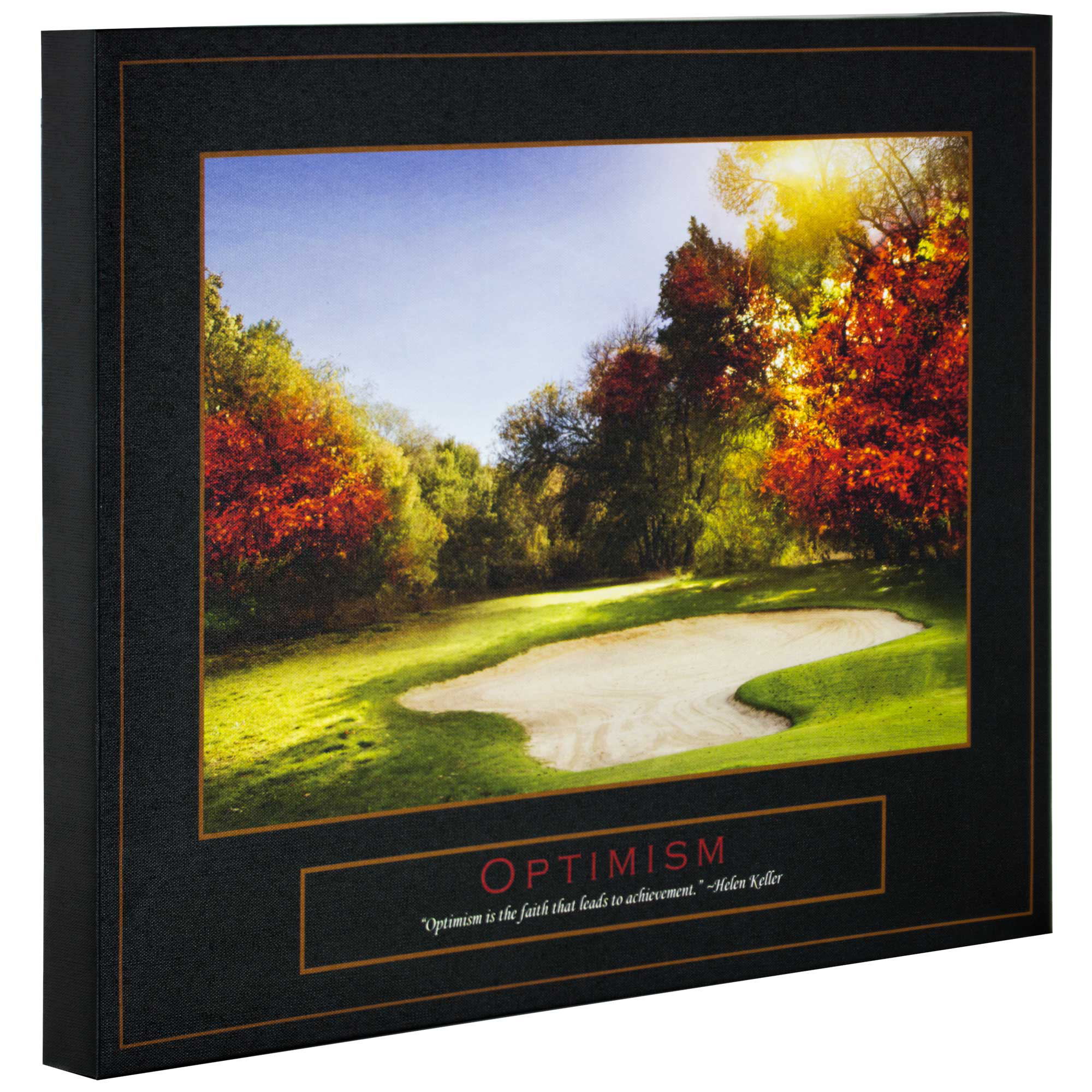Red Barrel Studio® 'Optimism' Graphic Art Print on Canvas | Wayfair
